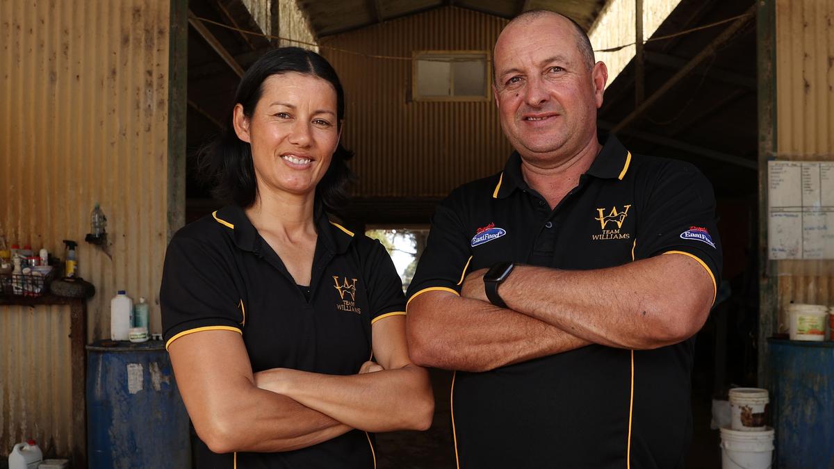 Os principais co-treinadores da WA Racing, Grant e Alana Williams ...
